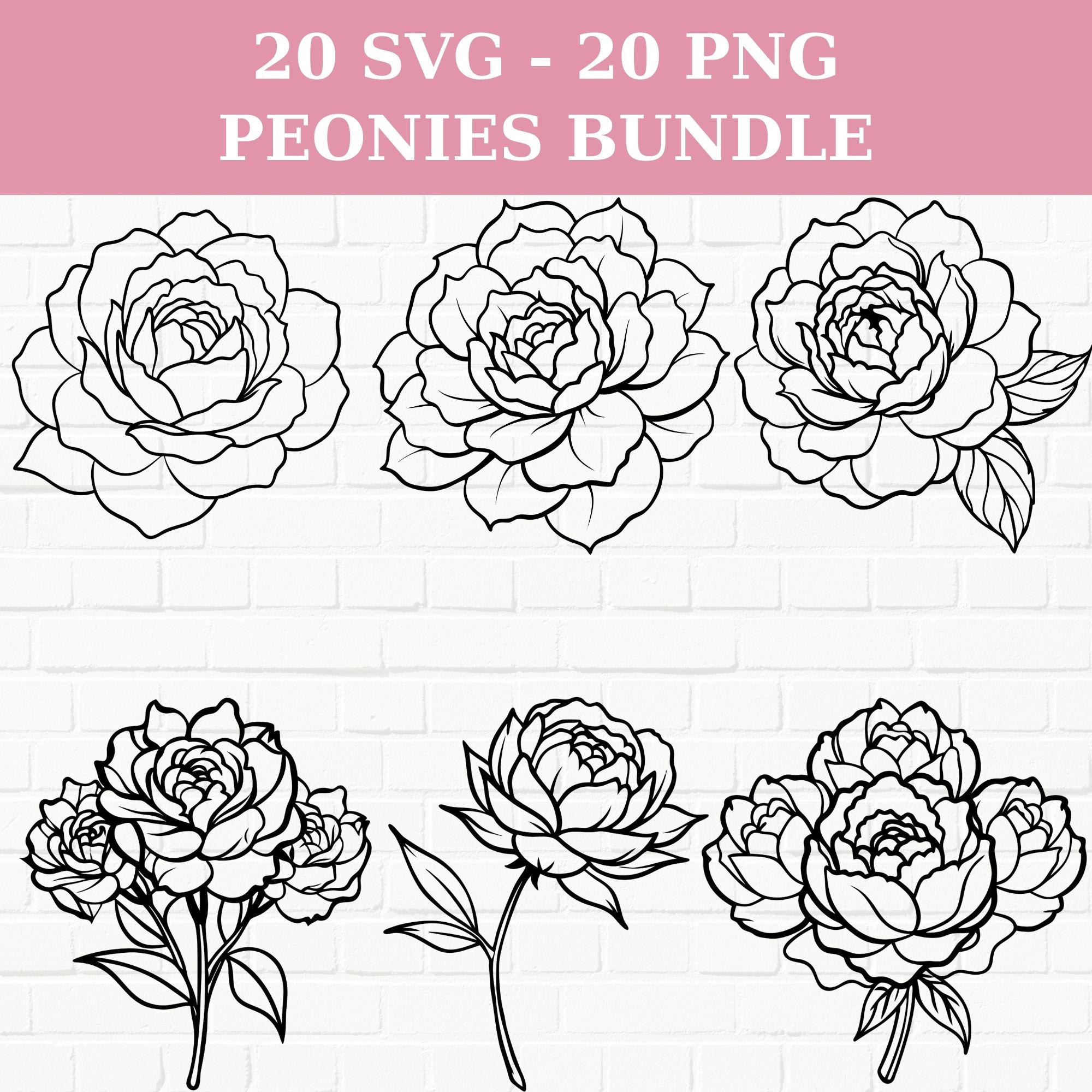 Peony Flower SVG PNG Bundle: Botanical Line Art (digital Download) - Etsy