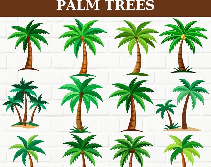 Palme SVG Bundle, Designs SVG, Palme PNG, dxf eps, Blumenpalme, Palme ...
