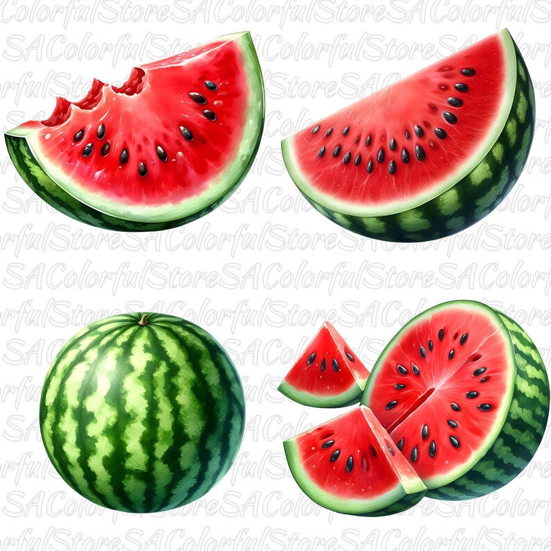 Watercolor Watermelon Clipart Bundle: Summer Food Graphics (digital ...