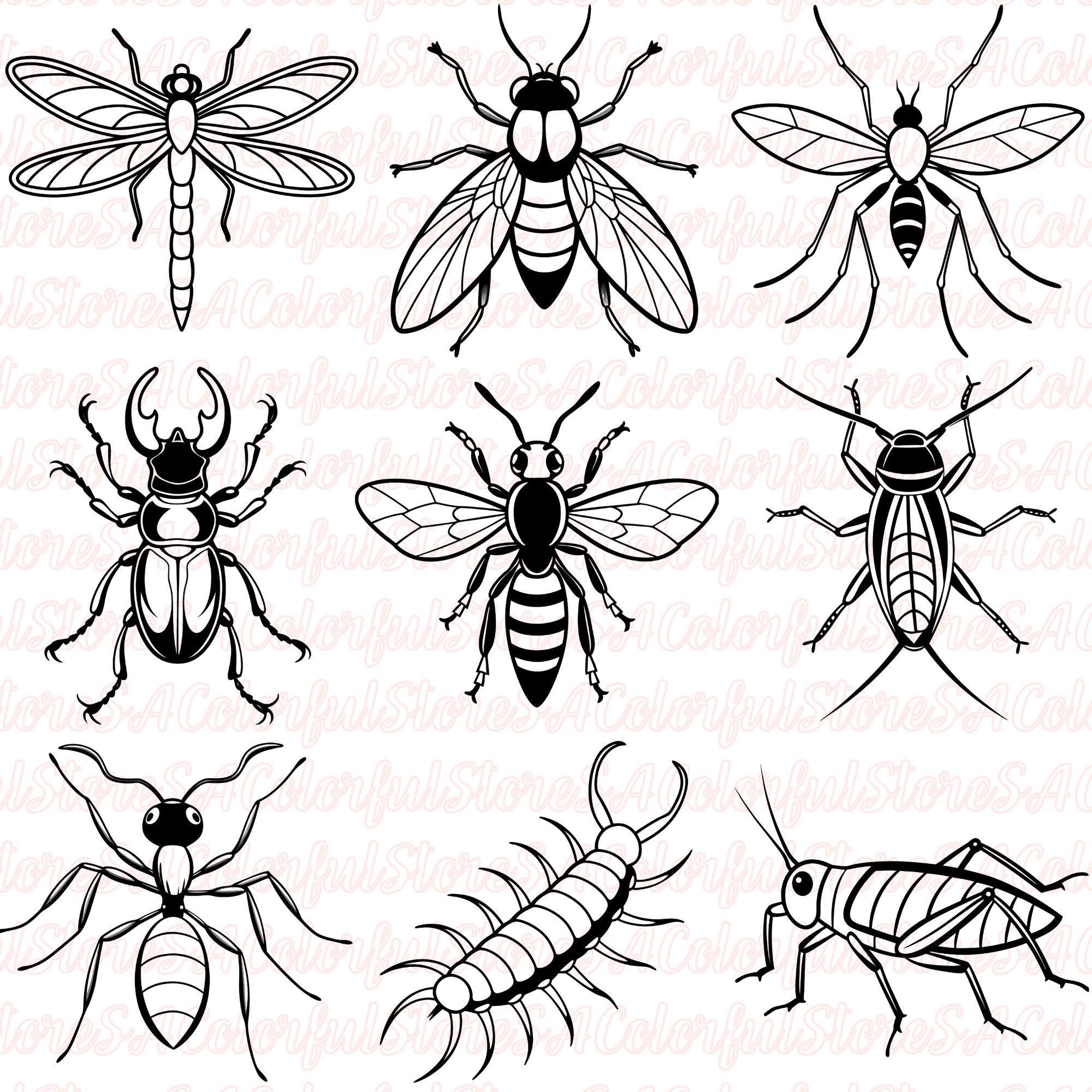 Insect SVG PNG Clipart Bundle: Butterfly, Bee, Ladybug (digital ...