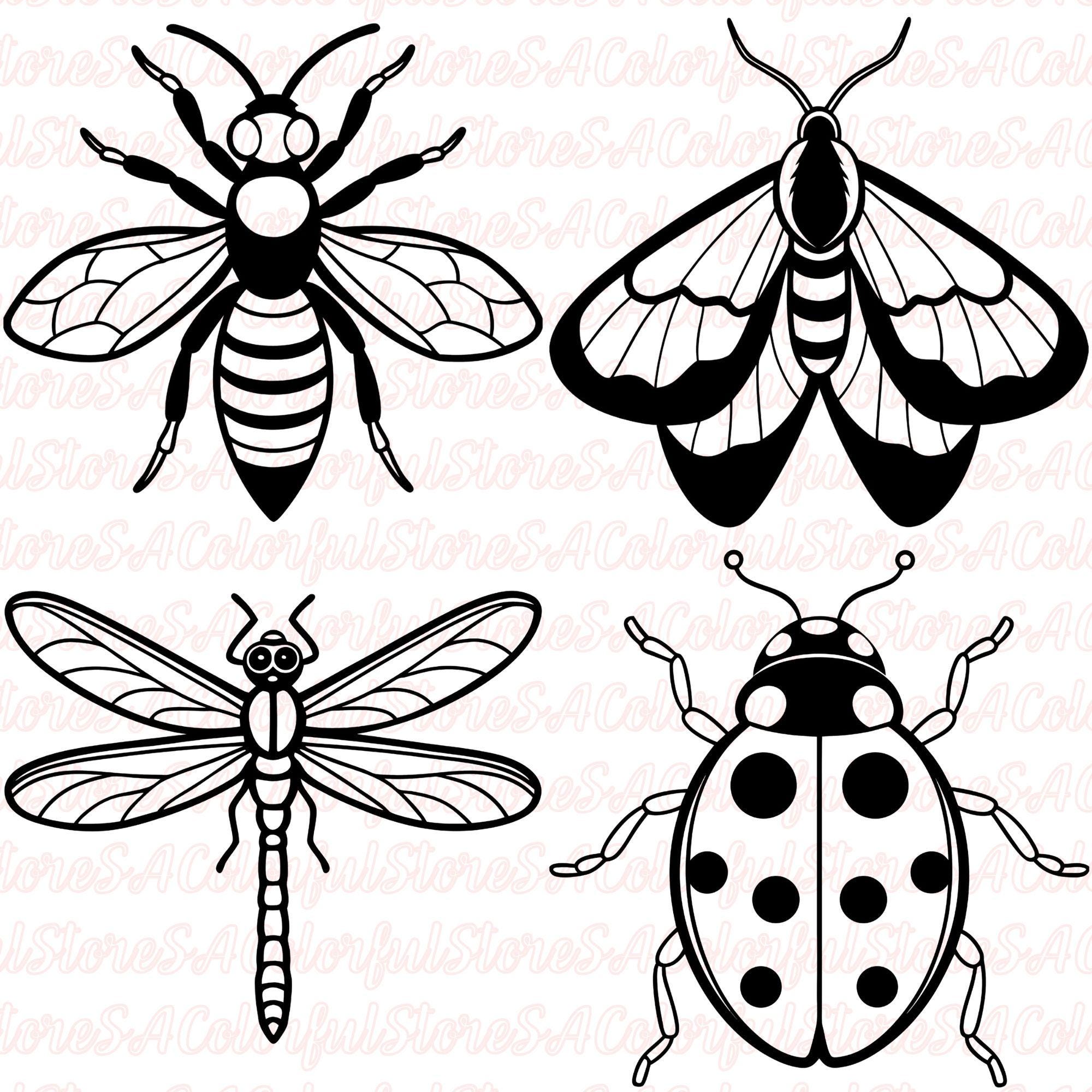 Insect SVG PNG Clipart Bundle: Butterfly, Bee, Ladybug (digital ...