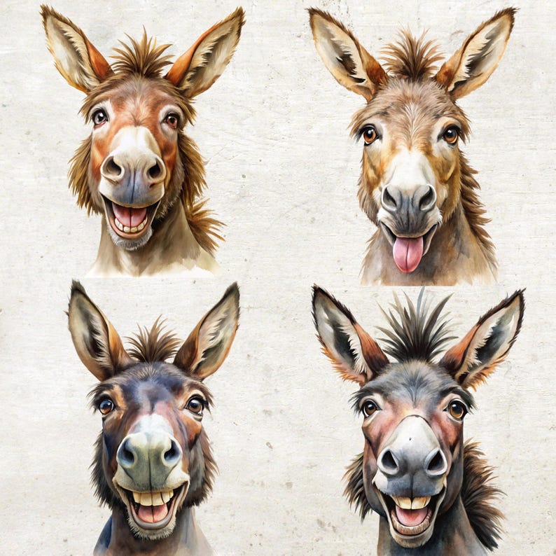 20 Funny and Crazy Donkey Clipart Bundle Foal Graphic Funny Donkey Face Watercolor Donkeys ...