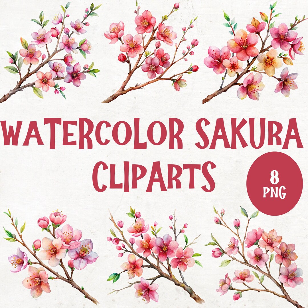 8 Japanese Sakura Png, Watercolor Cherry Blossoms Clipart, Sakura ...