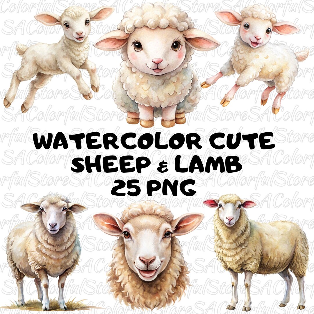 25 Watercolor Lamb Clipart, Lamb PNG, Cute Sheep, Cute Lamb Clip Art ...