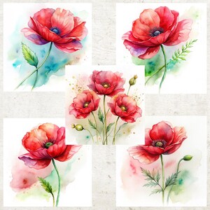40 Watercolor Poopy Abstract Flowers Png Wall Art Digital Paper ...