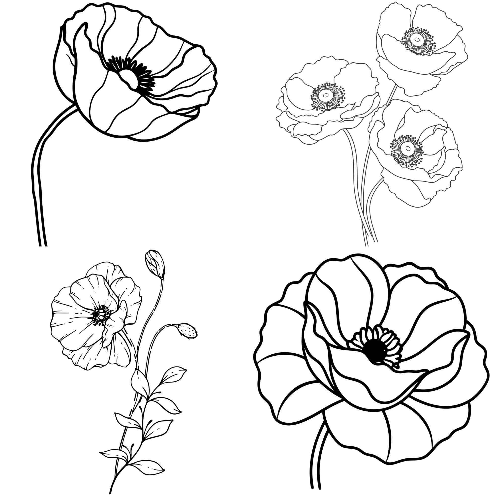 Poppy Svg Png Bundle, Poppy Flower Svg Png, Poppies Vector Clip Art ...