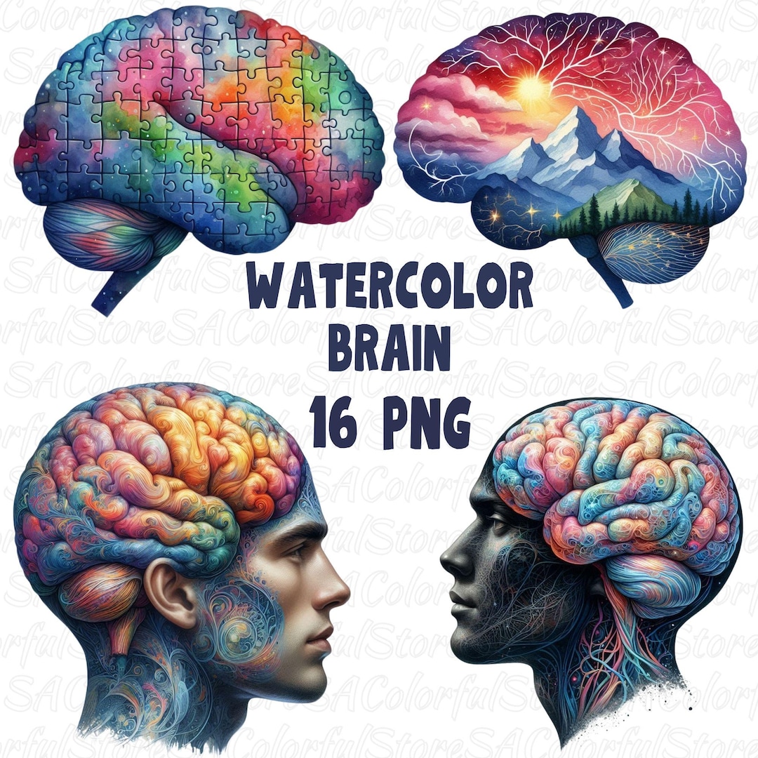 16 Watercolor Brain Clipart, Transparent PNG Graphics, Neuroscience ...