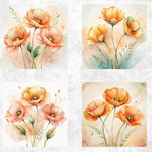 40 Watercolor Poopy Abstract Flowers Png Wall Art Digital Paper ...
