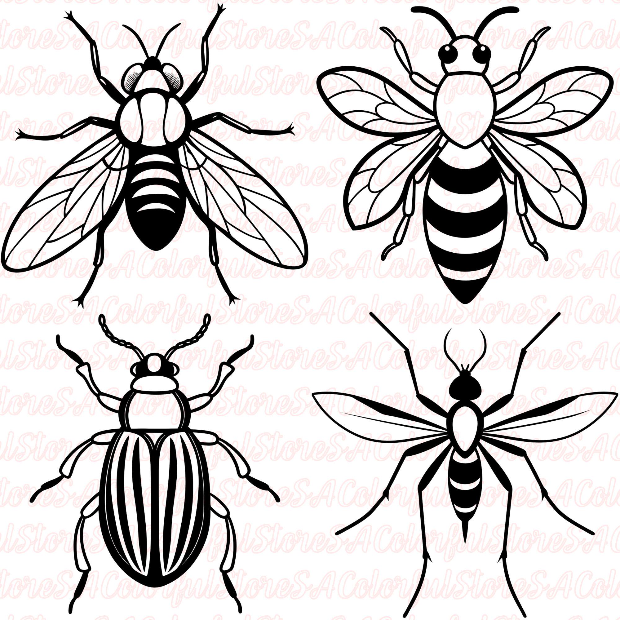 Insect SVG PNG Clipart Bundle: Butterfly, Bee, Ladybug (digital ...