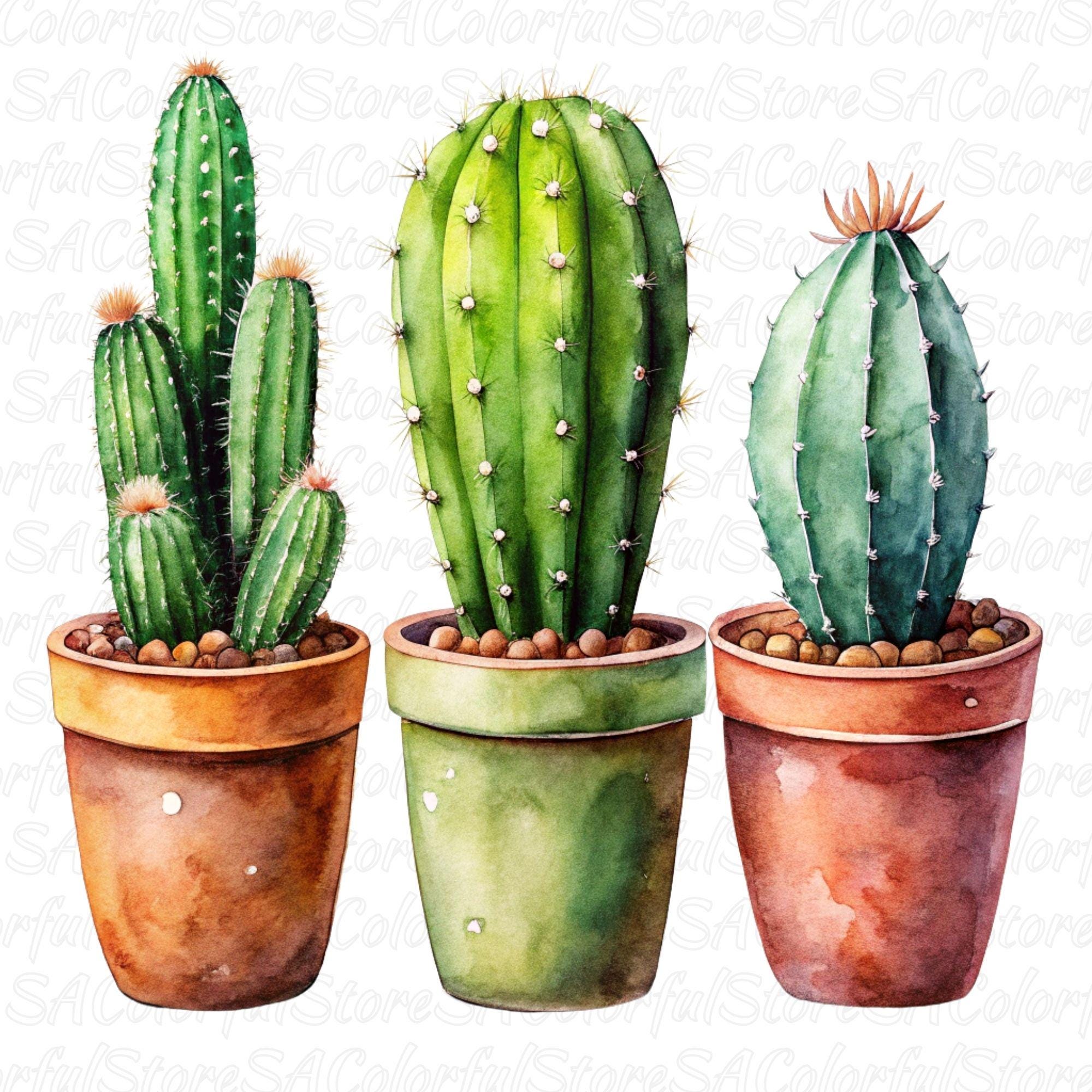 Watercolor Cactus Clipart: Desert Botanical Illustrations, Digital ...