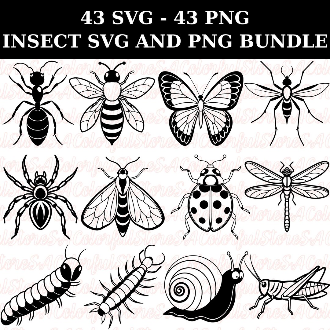 Insect SVG PNG Clipart Bundle: Butterfly, Bee, Ladybug (digital ...