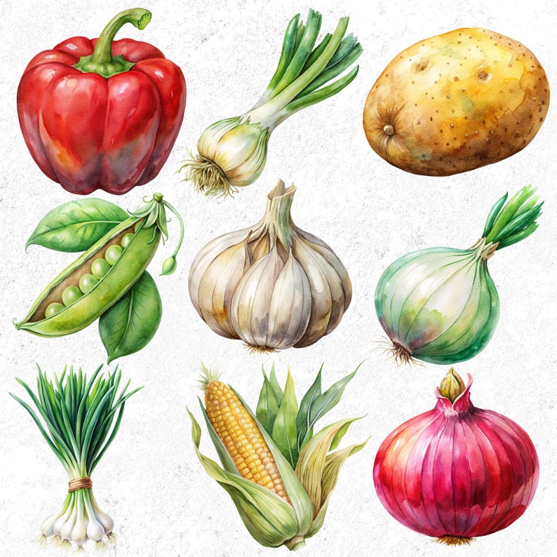 Watercolor Vegetables Clipart Bundle, Farmers Market Clipart, Healthy ...