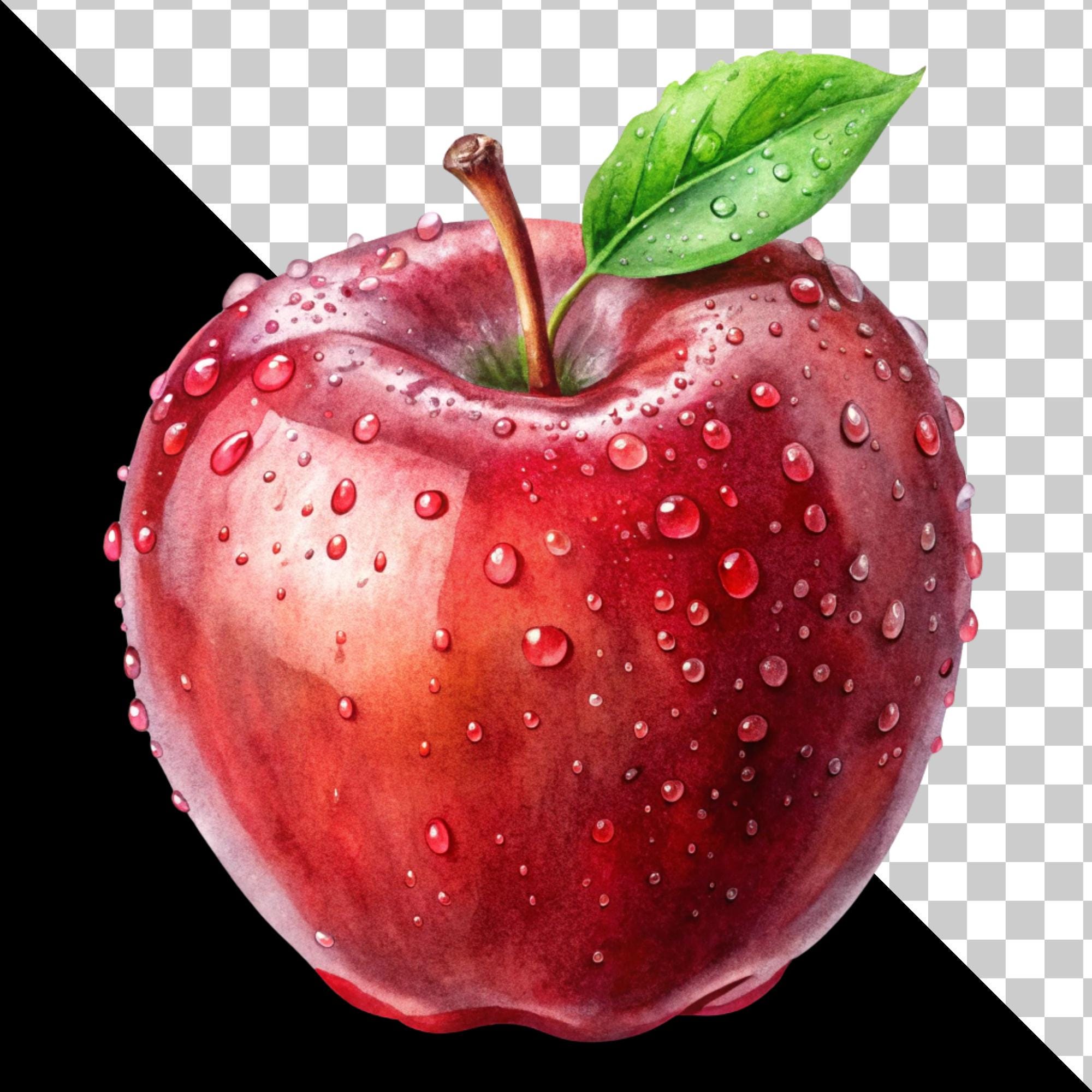 Watercolor Red Apple Clipart: 15 PNG Illustrations (digital Download ...