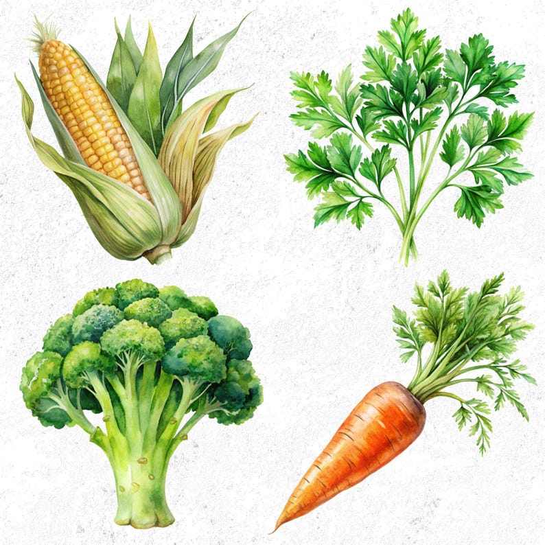 Watercolor Vegetables Clipart Bundle, Farmers Market Clipart, Healthy ...