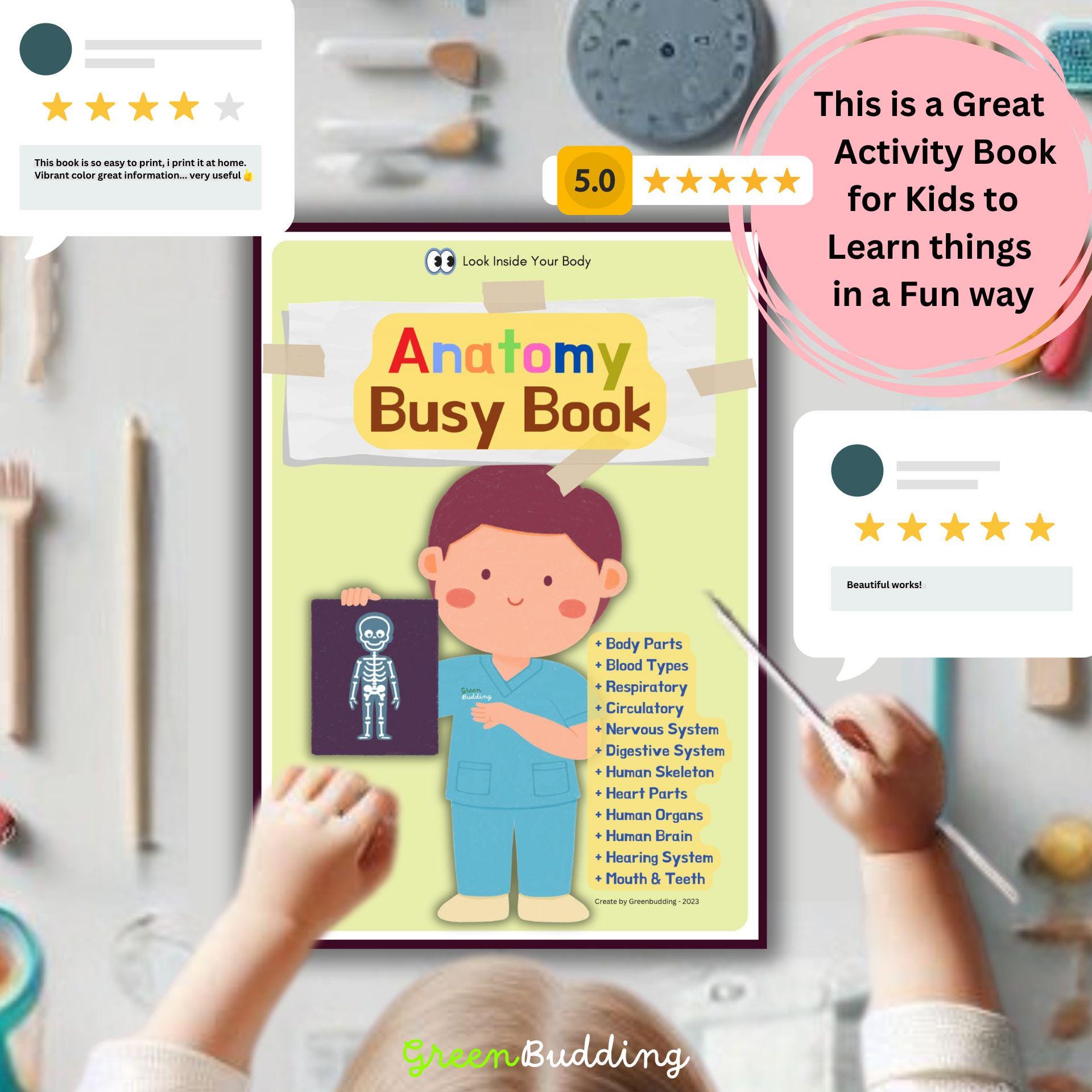 Human Anatomy Busy Book, Kids, Digital Printable Worksheets, Homeschool ...