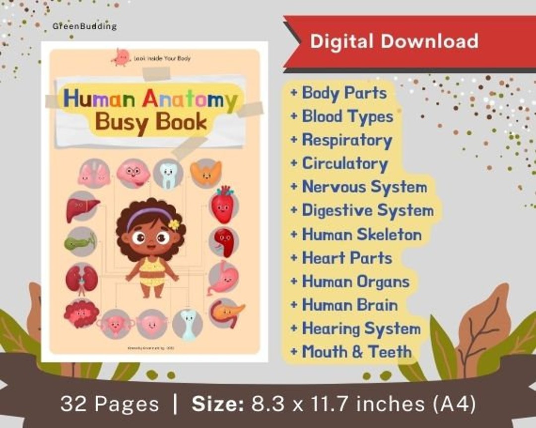 Human Anatomy Busy Book, Digital Printable Worksheets, Homeschool ...