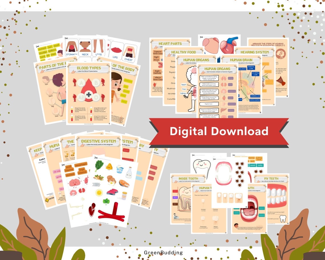 Human Anatomy Busy Book, Kids, Digital Printable Worksheets, Homeschool ...