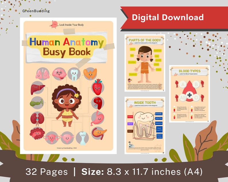 Human Anatomy Busy Book, Kids, Digital Printable Worksheets, Homeschool ...