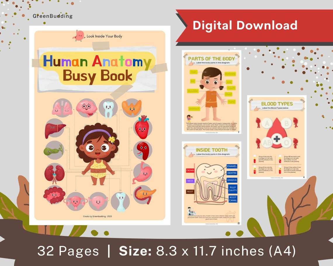 Human Anatomy Busy Book, Kids, Digital Printable Worksheets, Homeschool ...