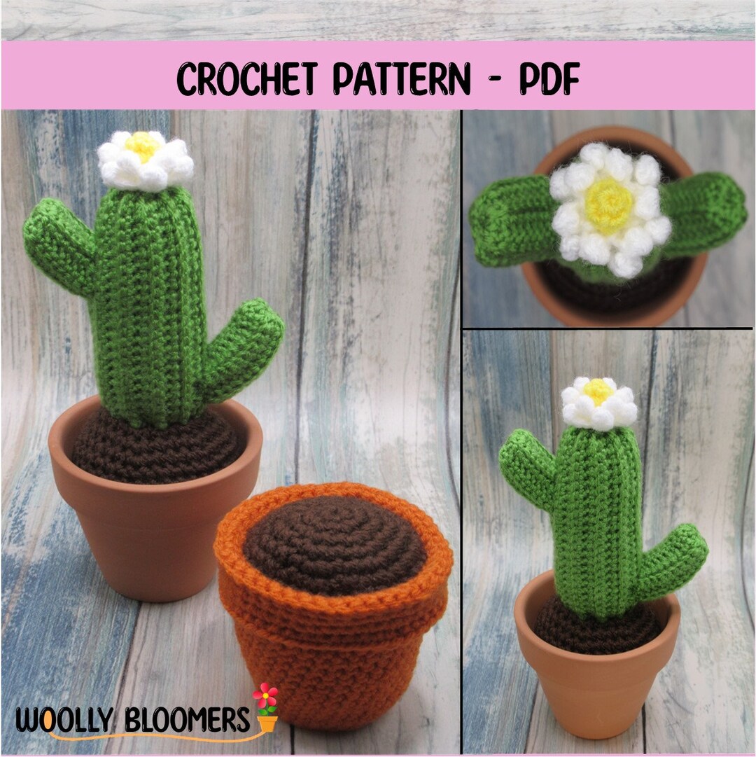 Crochet Two Armed Cactus (B), Plant Ornament, Beginner Level, PDF ...