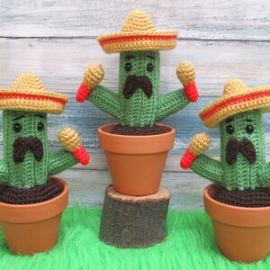 Fun Crochet Cactus Pattern, Maracas the Cactus, Experienced Beginner ...