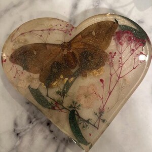 Polyphemus Moth in Resin | Resin Art | Paperweight | Resin Block ...