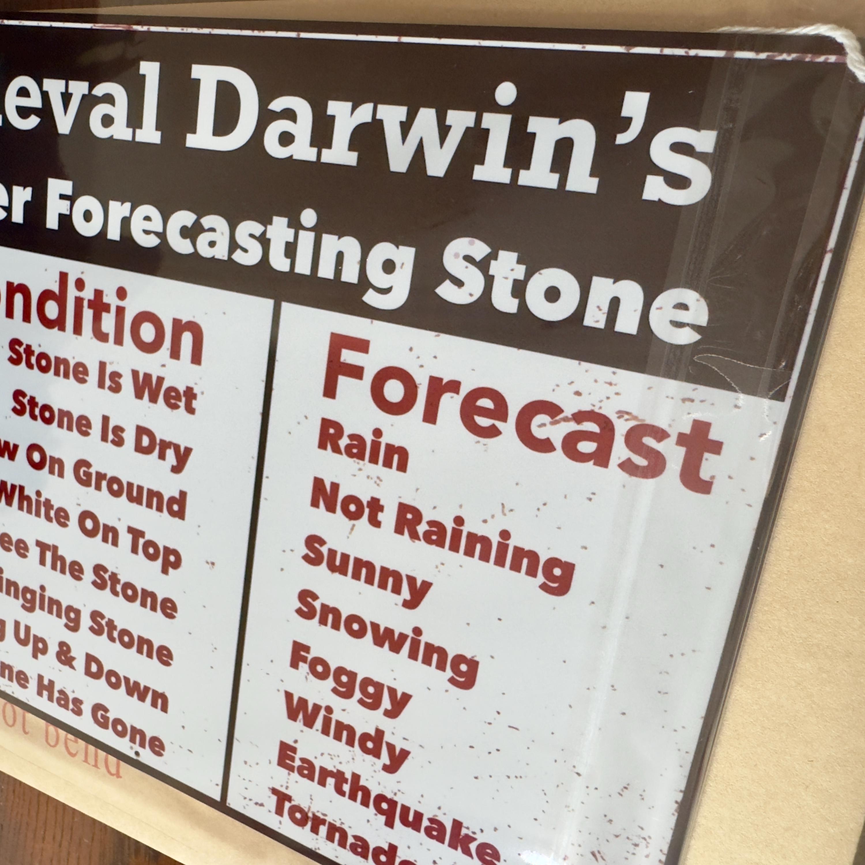 Personalised Weather Forecasting Sign, Outdoor and Garden Metal Wall ...