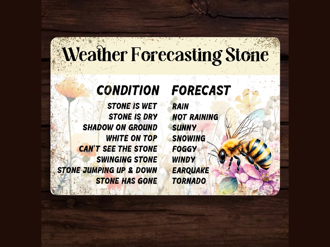Funny Bee Weather Forecasting Sign, Outdoor and Garden Metal Wall Art ...