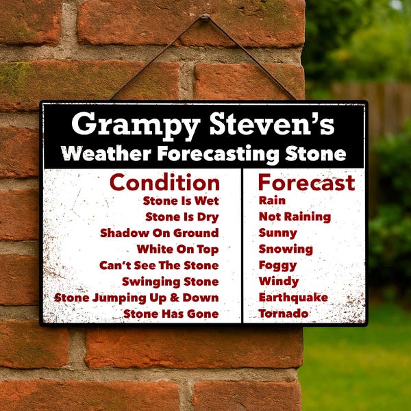 Weather Rock - Etsy