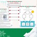 Christmas Unit Study: Winter, Homeschool Curriculum, Educational ...