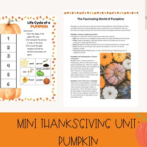 Pumpkin Lesson: Thanksgiving, Anatomy, Life Cycle, Lesson Ideas, STEM ...