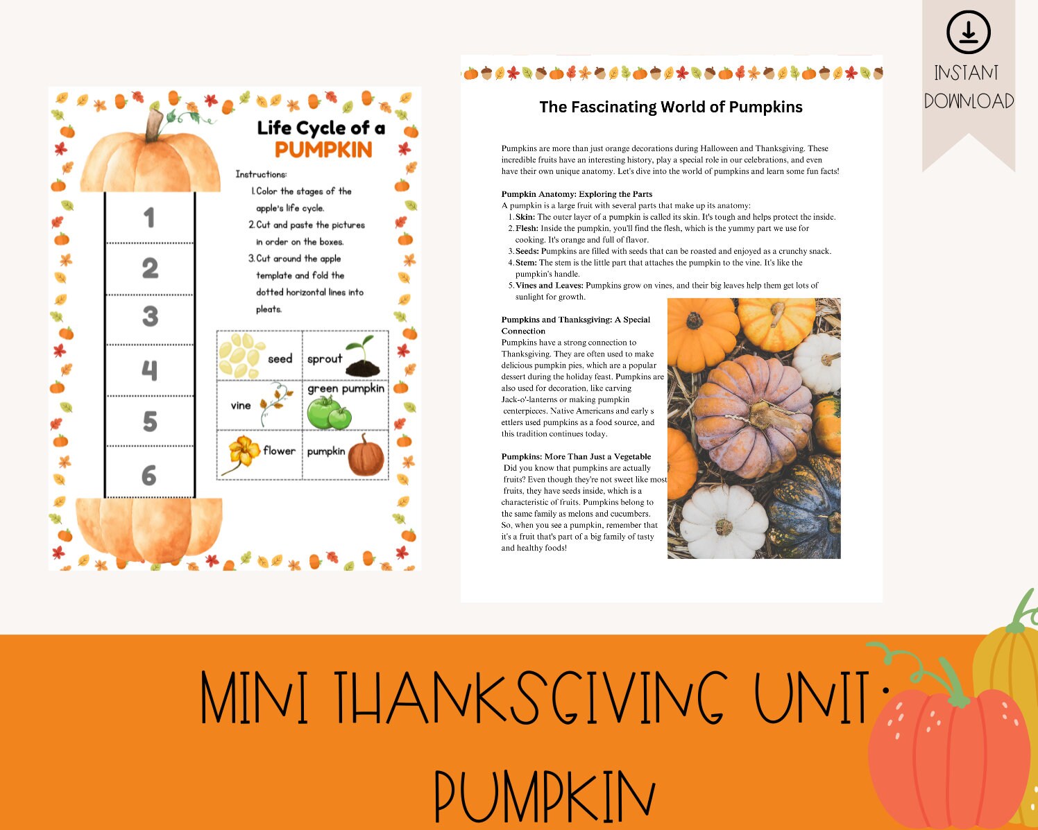 Pumpkin Lesson: Thanksgiving, Anatomy, Life Cycle, Lesson Ideas, STEM ...