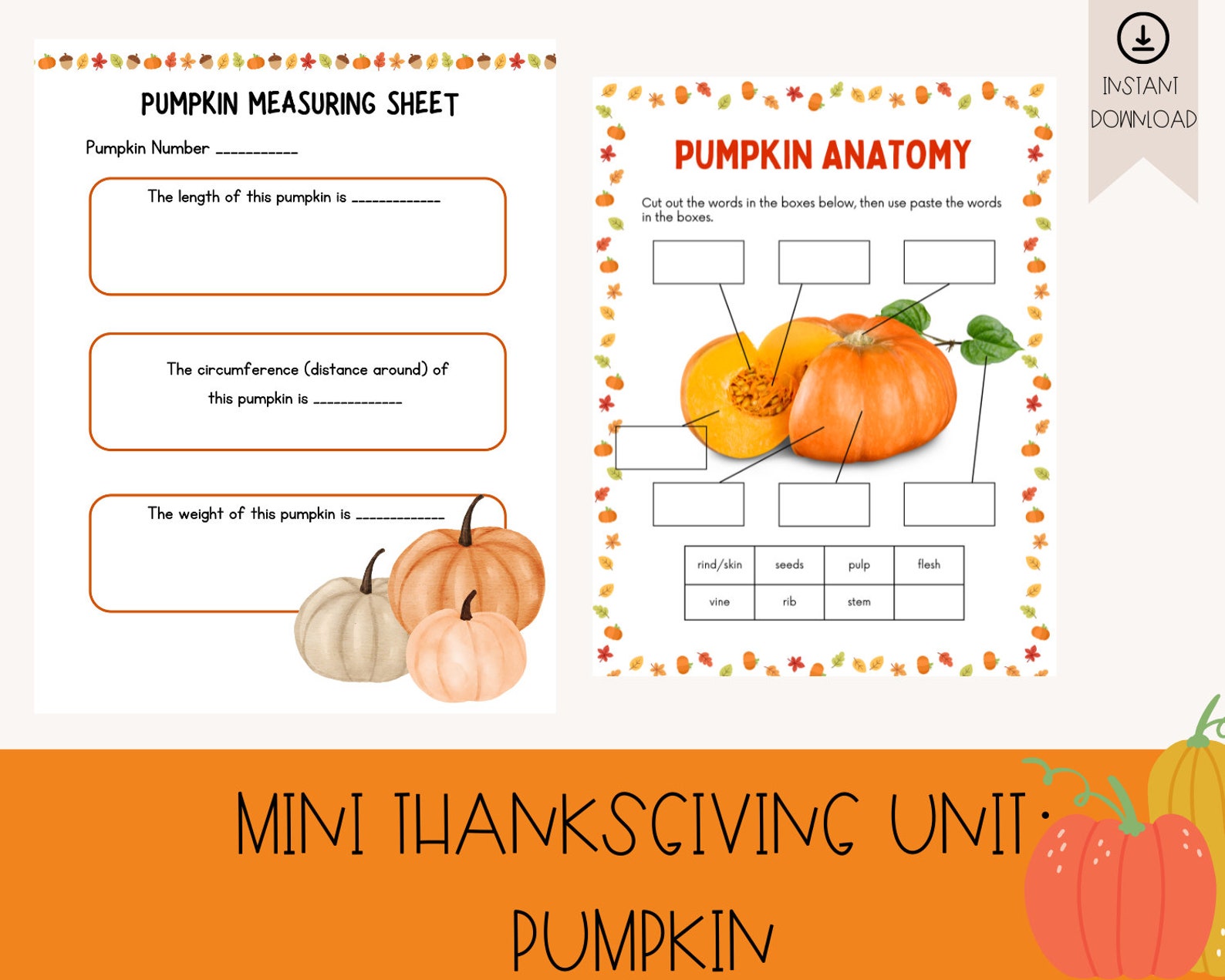 Pumpkin Lesson: Thanksgiving, Anatomy, Life Cycle, Lesson Ideas, STEM ...