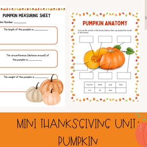 Pumpkin Lesson: Thanksgiving, Anatomy, Life Cycle, Lesson Ideas, STEM ...