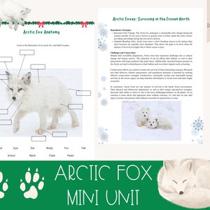 Arctic Fox Unit: Christmas Unit, Winter, Homeschool Curriculum ...
