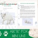 Arctic Fox Unit: Christmas Unit, Winter, Homeschool Curriculum ...