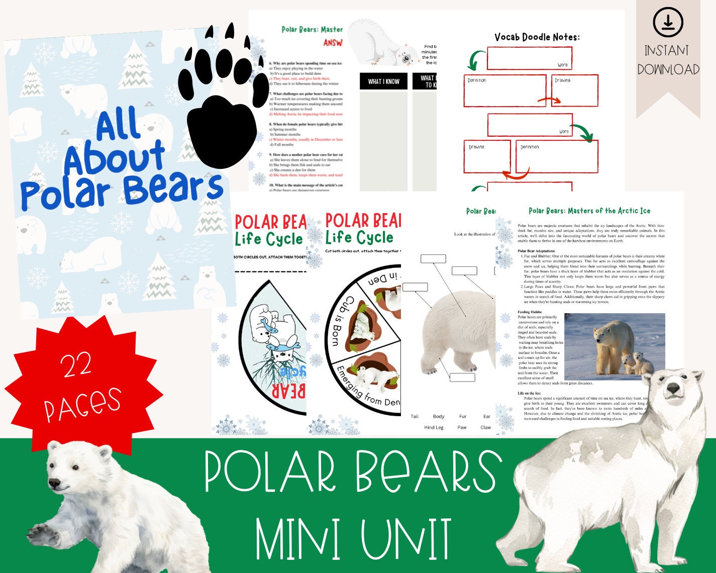 Polar Bear Unit: Christmas Unit, Winter, Homeschool Curriculum ...