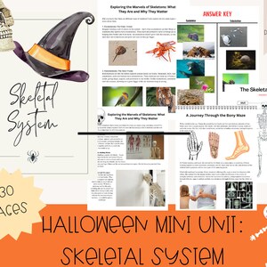 Halloween Unit: Human Skeleton Bone Structure Skeleton - Etsy