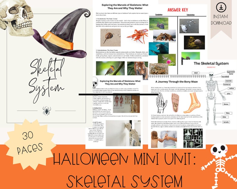 Halloween Unit: Human Skeleton Bone Structure Skeleton - Etsy