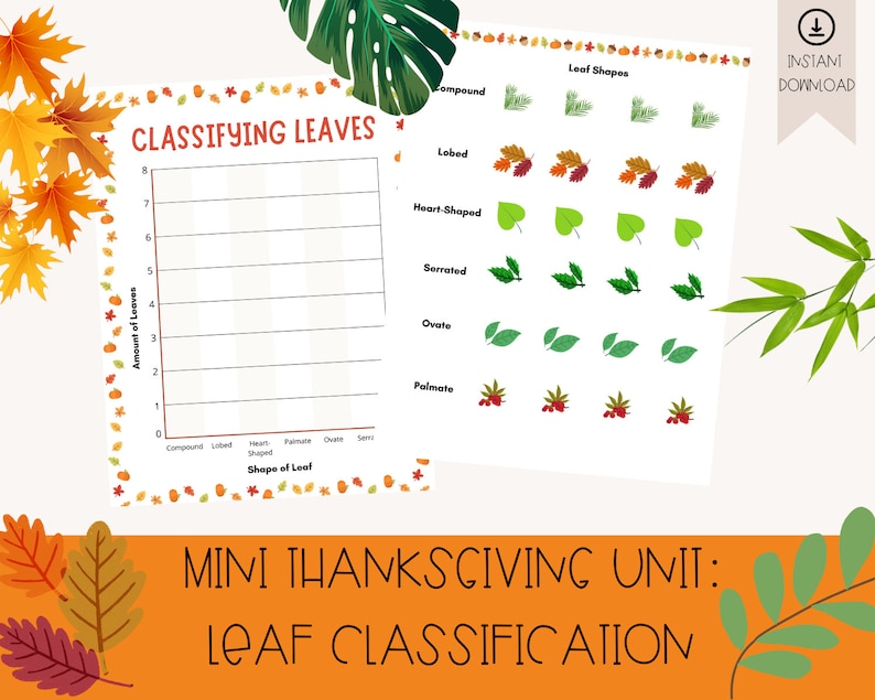 Leaves Lesson: Fall, Winter, Spring, Autumn, Summer, STEM, Math Activities, Nature Study ...