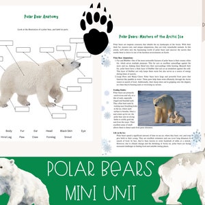 Polar Bear Unit: Christmas Unit, Winter, Homeschool Curriculum ...