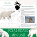 Polar Bear Unit: Christmas Unit, Winter, Homeschool Curriculum ...