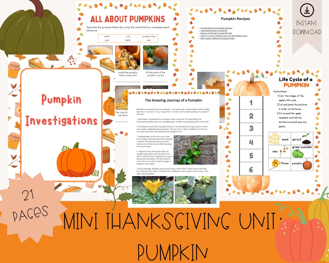 Pumpkin Lesson: Thanksgiving, Anatomy, Life Cycle, Lesson Ideas, STEM ...