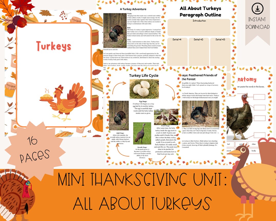 Turkey Tales: Turkey Anatomy, Bird Study, Bird Lesson, Bird Unit ...