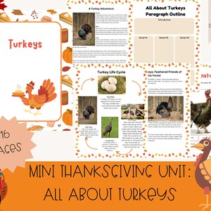 Turkey Tales: Turkey Anatomy, Bird Study, Bird Lesson, Bird Unit ...