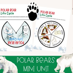 Polar Bear Unit: Christmas Unit, Winter, Homeschool Curriculum ...
