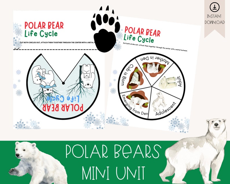 Polar Bear Unit: Christmas Unit, Winter, Homeschool Curriculum ...