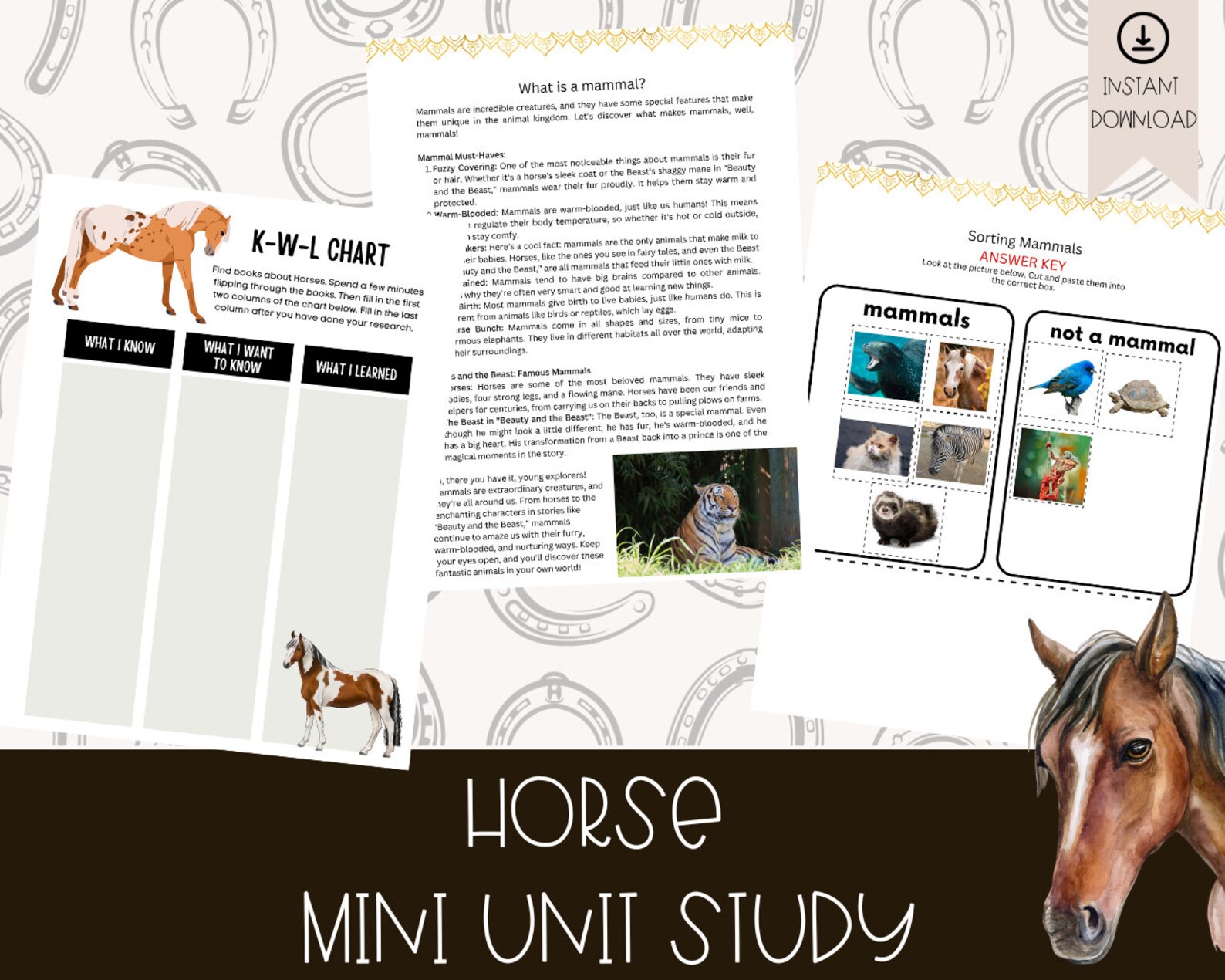 Horse Mini Unit: Horse Anatomy, Horse Study, Horse Lesson, Equine ...