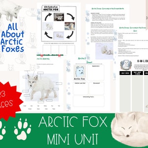 Arctic Fox Unit: Christmas Unit, Winter, Homeschool Curriculum ...