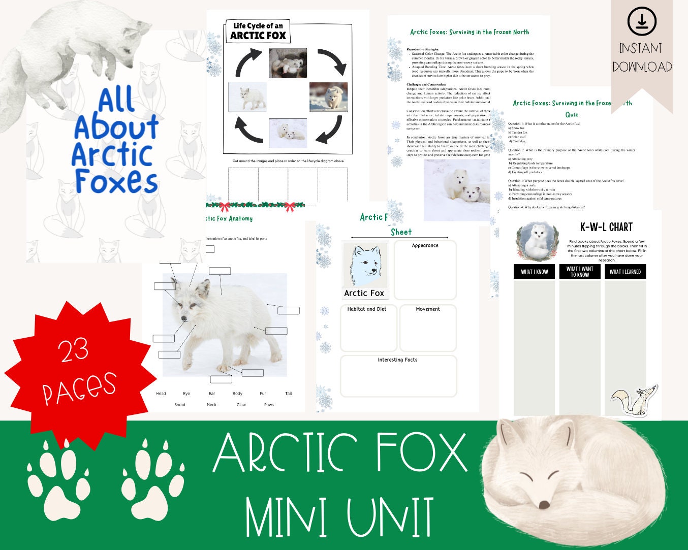 Arctic Fox Unit: Christmas Unit, Winter, Homeschool Curriculum ...